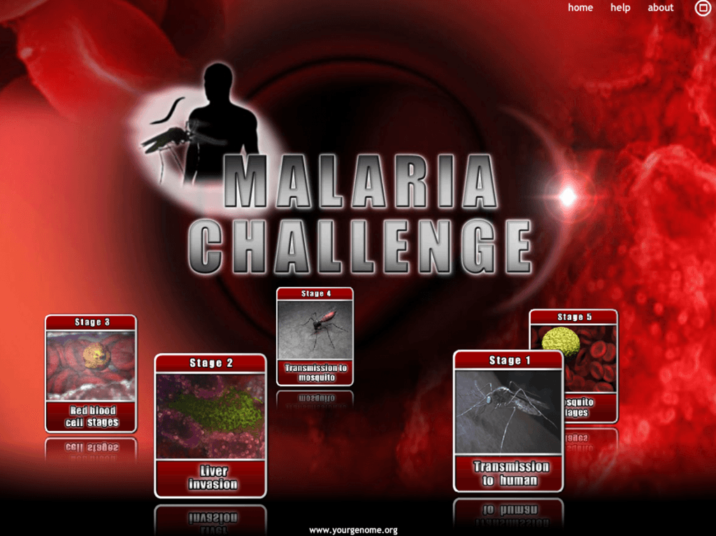 What Julian Rayner did with his prize money… – I'm a Scientist, Get me ...